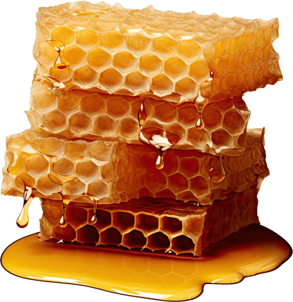 Fab Honey Sommelier - Fab Honey Sommelier – Explore the Art of Honey ...